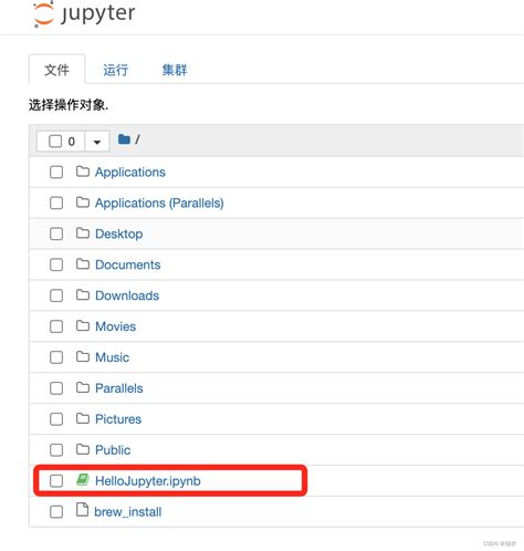 安装和使用jupyter notebook notebook 7 0 7 csdn博客