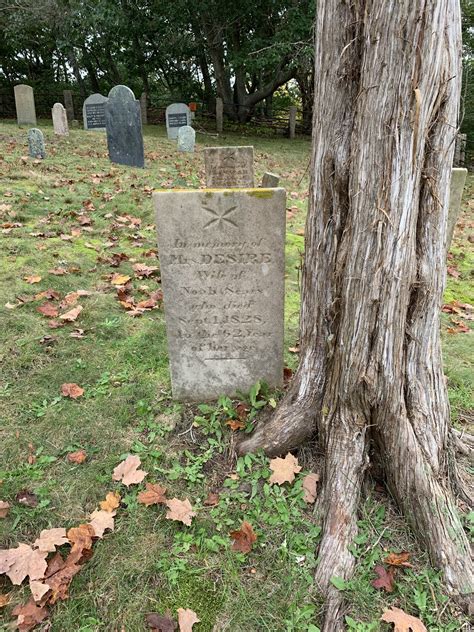 Barbara Eppich Strunas Blog