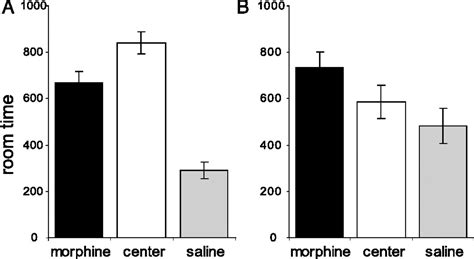 Rat Nucleus Accumbens Neurons Persistently Encode Locations Associated With Morphine Reward