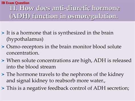11 3 Excretory System Ppt Download