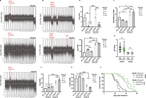 Copy Number Variation Cnv Analysis Stratifies Vq Cells Based On