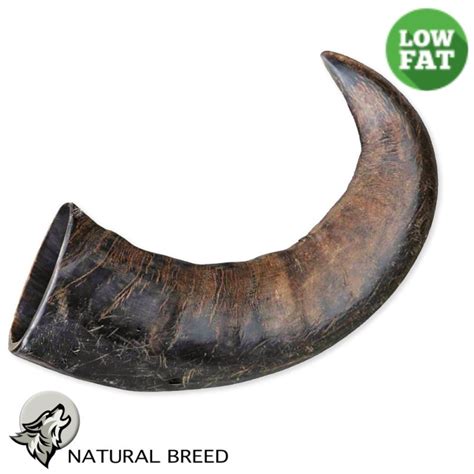 Ox Horn Light