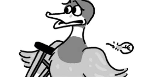 레임 덕 브로큰 덕 데드 덕[오후여담]