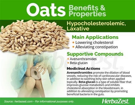 Oat Herbazest