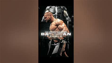 Bayesian Curls ⚡️ Best Guide Ever Made Youtube