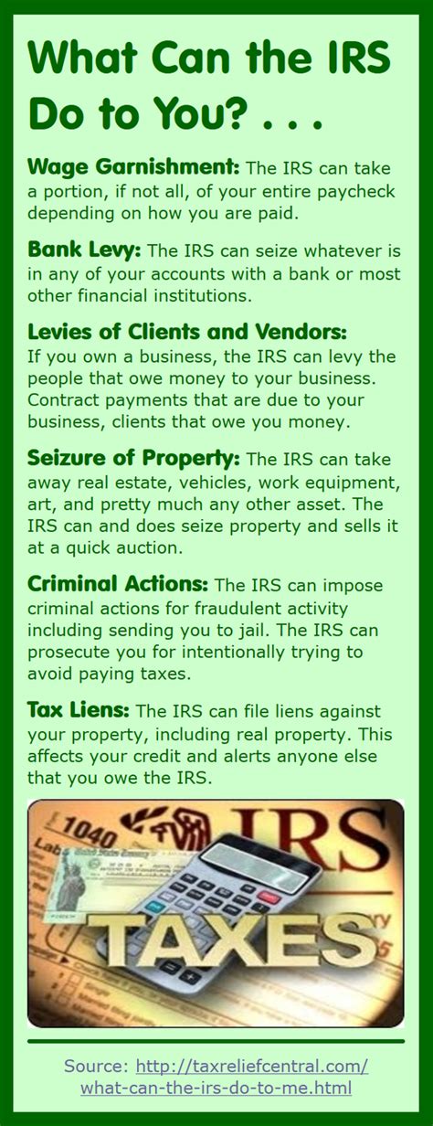 Infographic What Can The Irs Do To You Infographic A Day