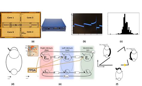 Spiking Neural Network Architecture For Implementation On Neuromorphic