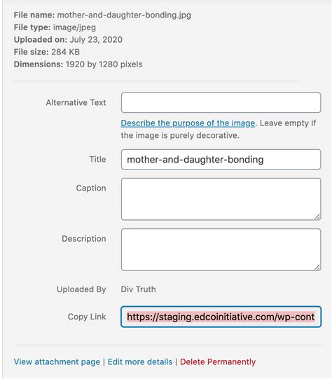 Brizy Plugin Pro Images Wont Load In Builder Brizy Help Center