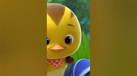 엄마까투리 Youtube