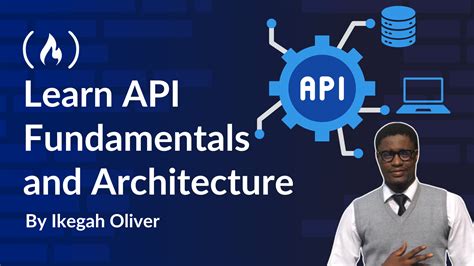 Learn Api Fundamentals And Architecture A Beginner Friendly Guide