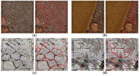 Examples Of The Ice Wedge Polygons Iwp Detection And Delineation Download Scientific Diagram