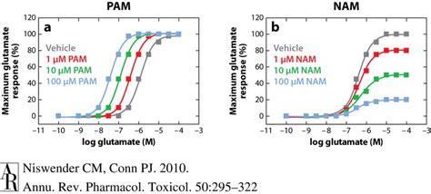 Simple Schematic Representation Of The Positive Allosteric Regulator