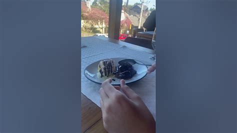 Pétit Gateu Youtube