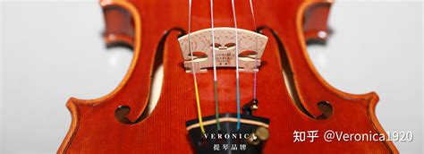 小提琴和钢琴哪个更难学？ 知乎