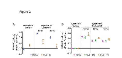 Optimal Buffer For Fura 2am Loading Is Dmem And Optimal Buffer For