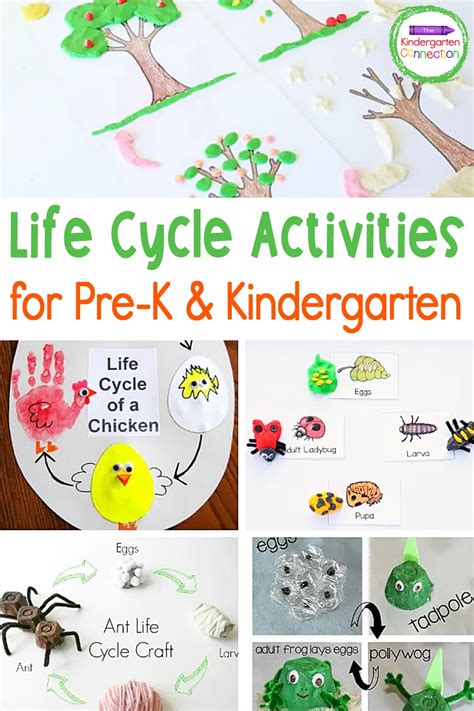 Plant Life Cycle Craft Kindergarten At Hannah Rowlandson Blog