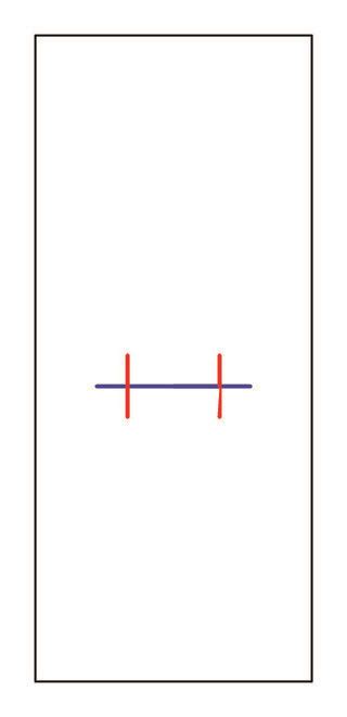 A Single Horizontal Wellbore With Two Parallel Preset Fractures Download Scientific Diagram