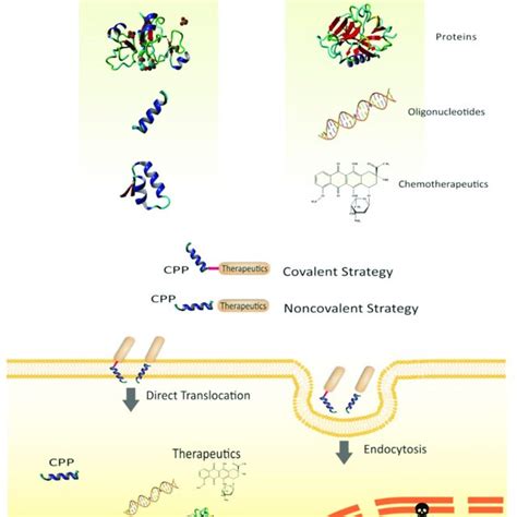 Schematic Representation Of Recent Cpp Based Strategies The Download Scientific Diagram