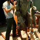 The Howling 1981 Behind The Scenes Werewolf Sfx Rhorrormovies