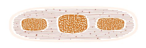 Lake Of Blobs Dot Press