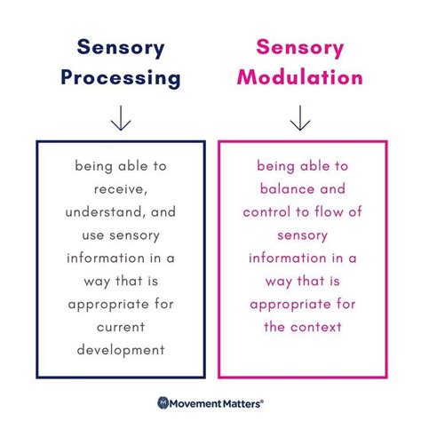 Sensory Process And Modulation Sensory Processing Sensory Sensory System