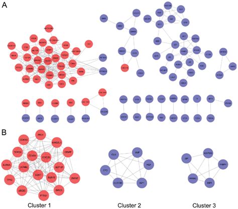 ppi network analysis a ppi networks of 95 key differentially