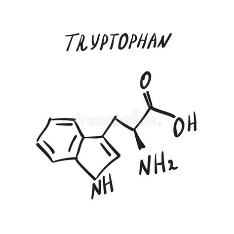 Tryptophan Structure