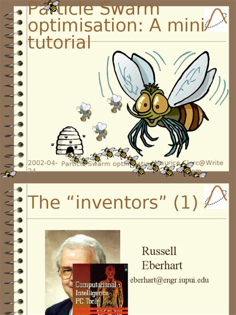 Pso Mini Tutorial Pdf Numerical Analysis Computer Programming