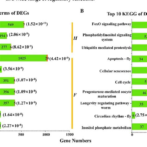 Top 10 Go Terms And Kegg Pathways Of Degs A Top 10 Go Terms Of Degs