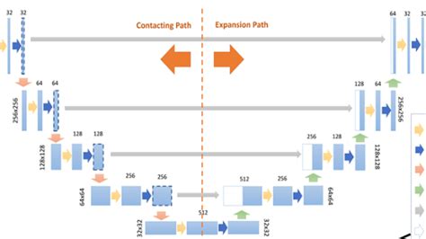 Github Adityajain8368 Automatic Contour Of Spine Vertebrae On Xray Images Using Unet