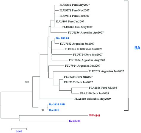 Hrsv Subgroup B Phylogenetic Tree 630 Nucleotides Of The Variable Download Scientific Diagram