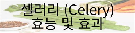 셀러리 Celery 샐러리 효능 8가지 부작용 권장량 다이어트 심혈관 숙면 딥씨블로그
