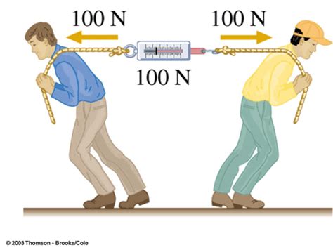 Work Speed And Net Force Quiz Trivia