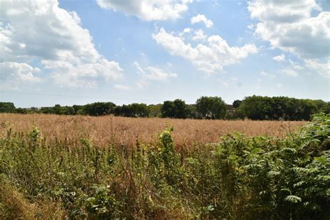 Grasslands © N Chadwick Cc By Sa20 Geograph Britain And Ireland