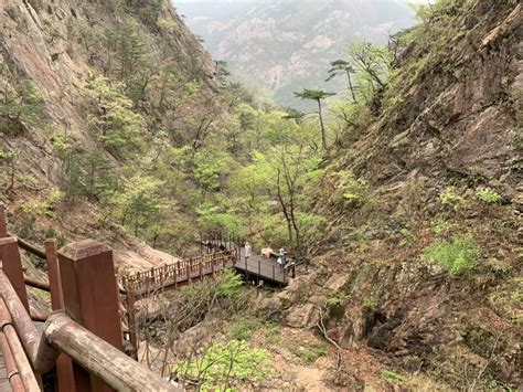 Robert Oh On Linkedin Happy To Be Launching In The Next Few Weeks A Hands On Workshop To Train…