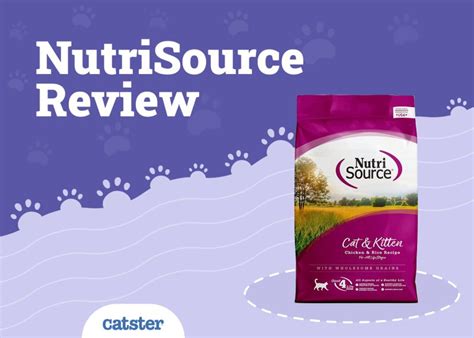 Is It True That Male Cats Kill Kittens Vet Reviewed Behavior Explanation Catster