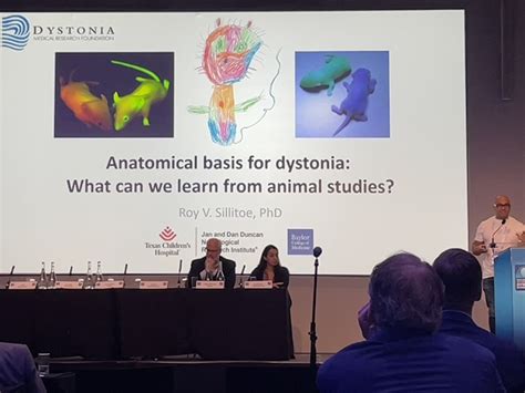 Aasef Shaikh Shaikhlab Twitter