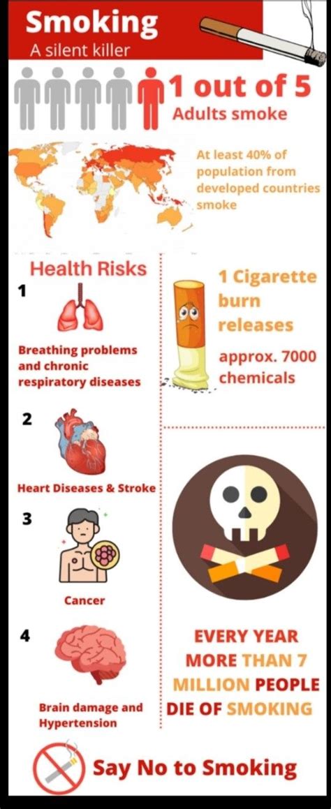 Smoking Infographic Body Chart Respiratory And Circulatory System