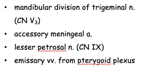 Exam 4 Infratemporal Fossa Flashcards Quizlet