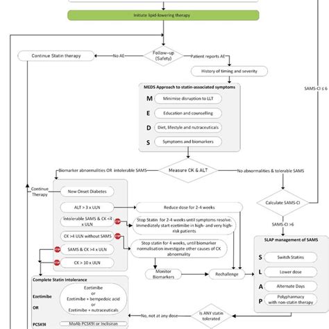 International Lipid Expert Panel Ilep Algorithm For The Management Of