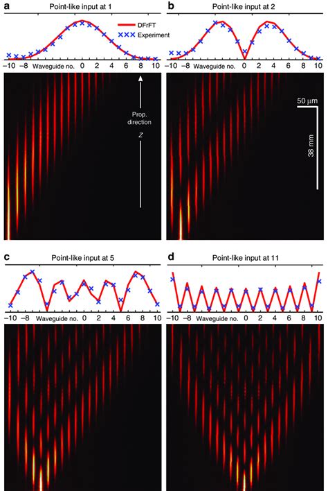 Experimental Visualization Of The Discrete Hermite Gauss Polynomials Download Scientific
