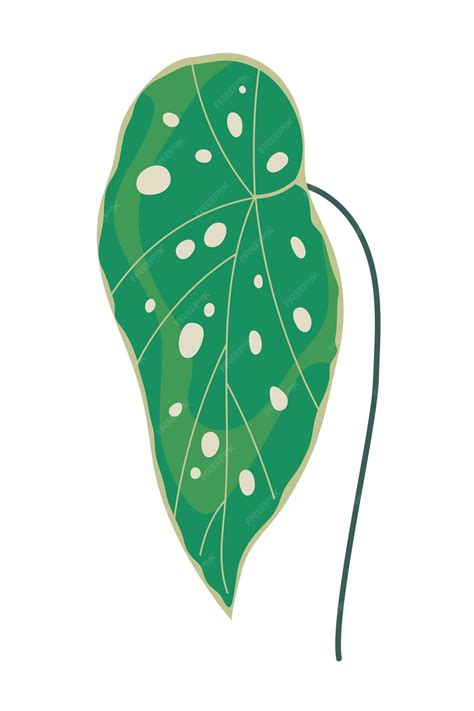 Premium Vector Leaf On White Background Icon Design Isolated