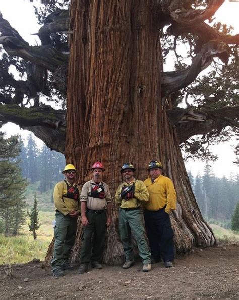 Donnell Firefighters At Bennett Juniper