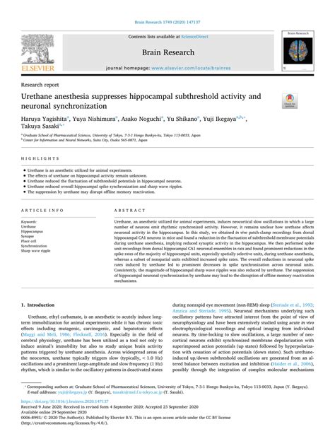 Pdf Urethane Anesthesia Suppresses Hippocampal Subthreshold Activity And Neuronal Synchronization