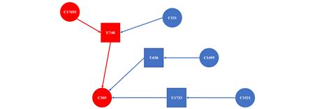 detecting malicious remote authentication requests using graph learning oca