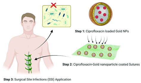 Schematic Representation Of Biocompatible Download Scientific Diagram