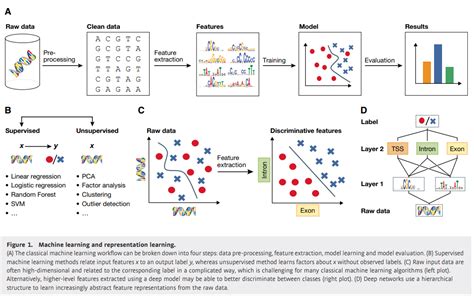 Transformative Applications Of Deep Learning In Regulatory Genomics And Biological Imaging