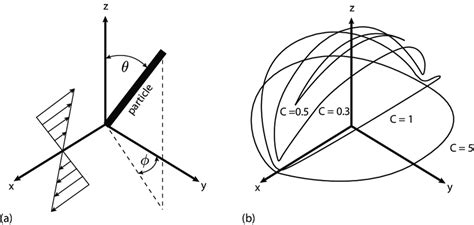Figure A a Orientation angles φ and θ of a particle undergoing Download Scientific