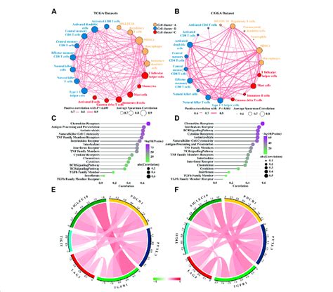Correlation Between Siglec10 And Inflammatory Status A Spearman