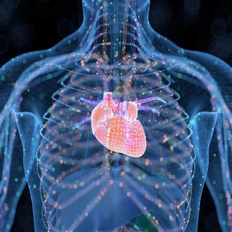 Turismo 5 Estrellas Cuáles Son Los 10 Hoteles Más Lujosos De Europa